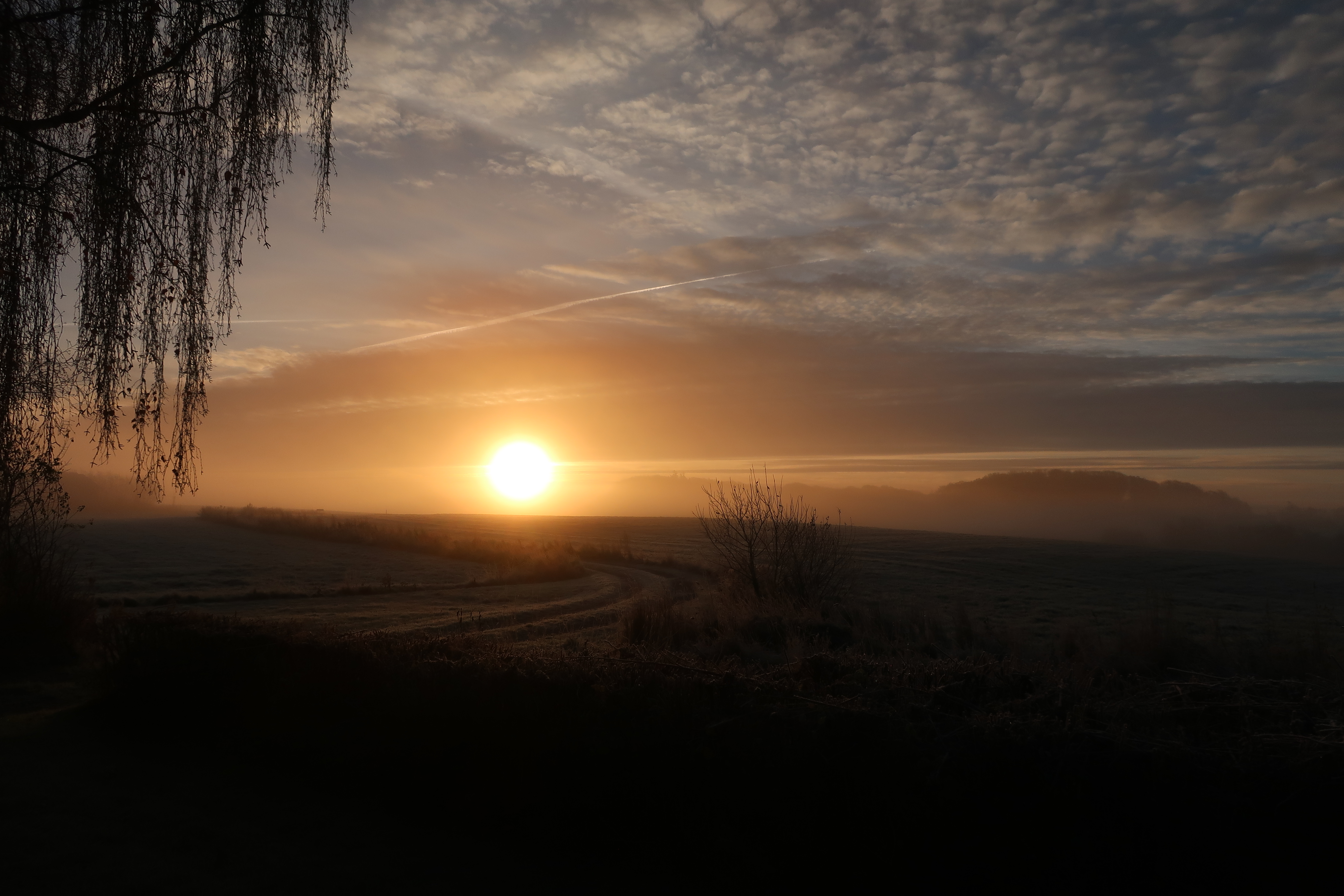 Odder museum | Vandring: Vintersolhverv ved Kysing Næs