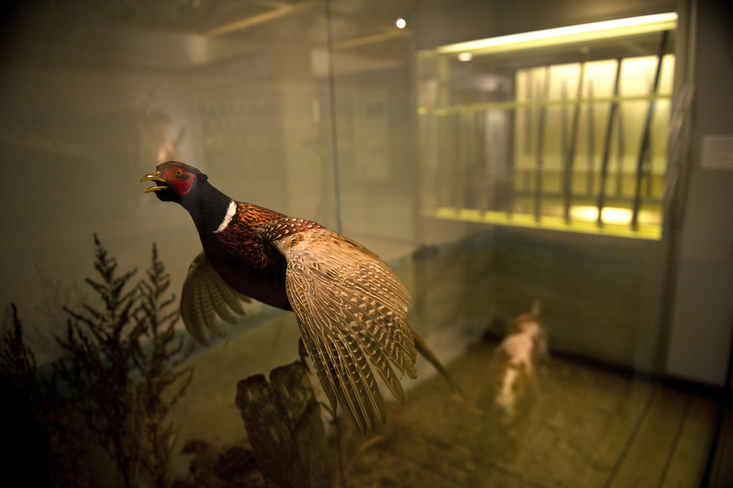 Odder museum | Forside