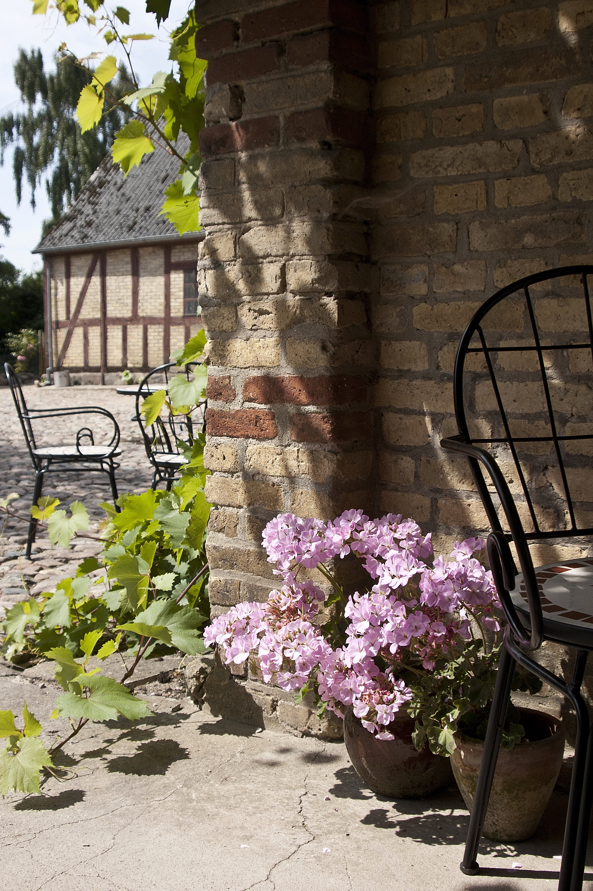 Odder museum | Aktiviteter